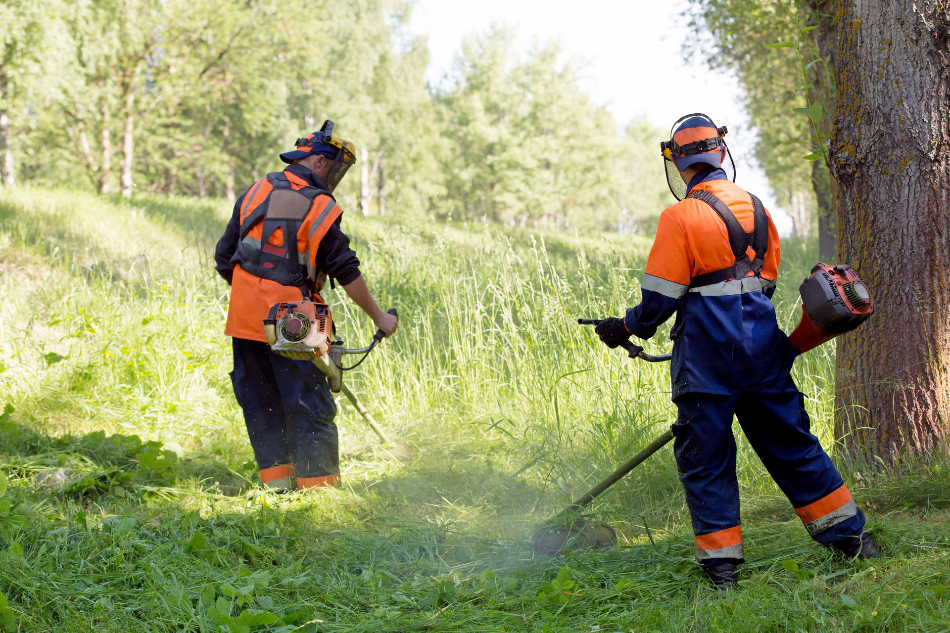 Gestionnaire D espace Naturel M tier tudes Salaire Ifsa Nature